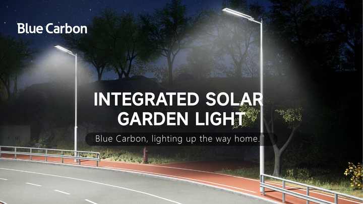 Blue Carbon 25W Solar LED Street Light - 10 Year Warranty