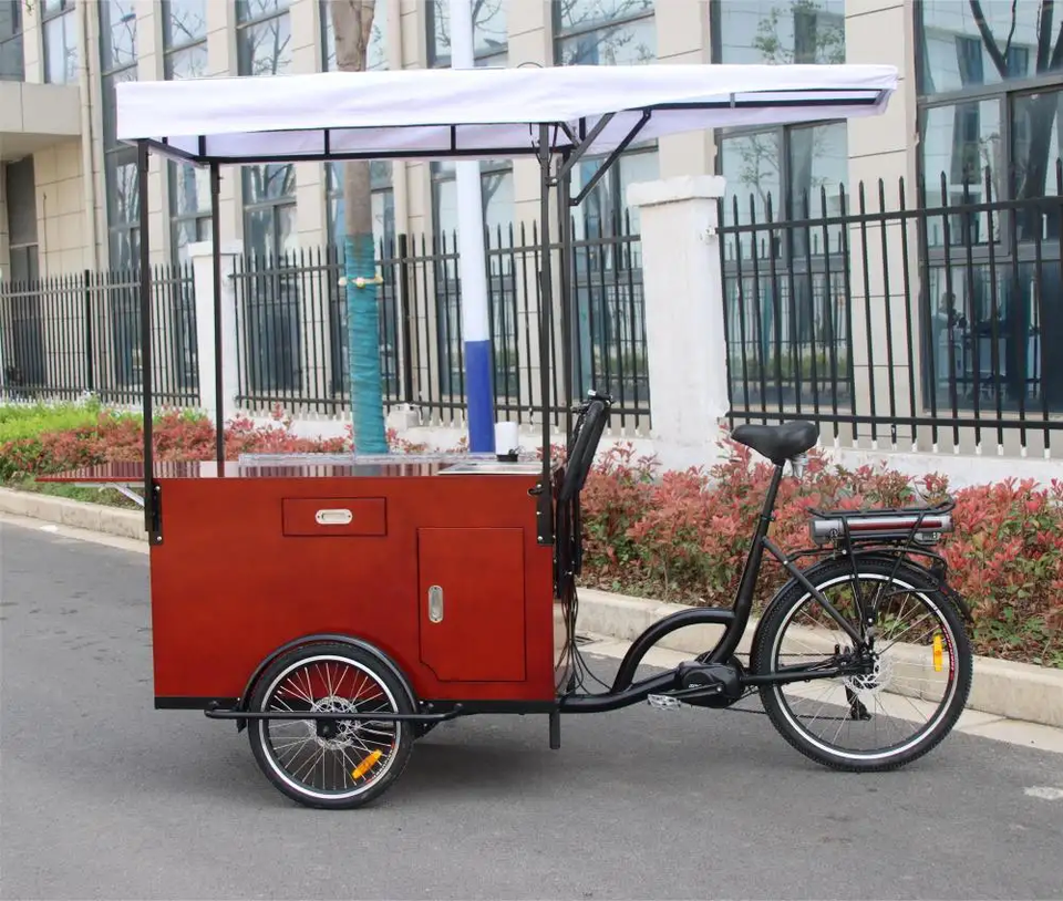 Street Food Cart Electric Pedal Food Bike Tricycle Street Food Bike ...