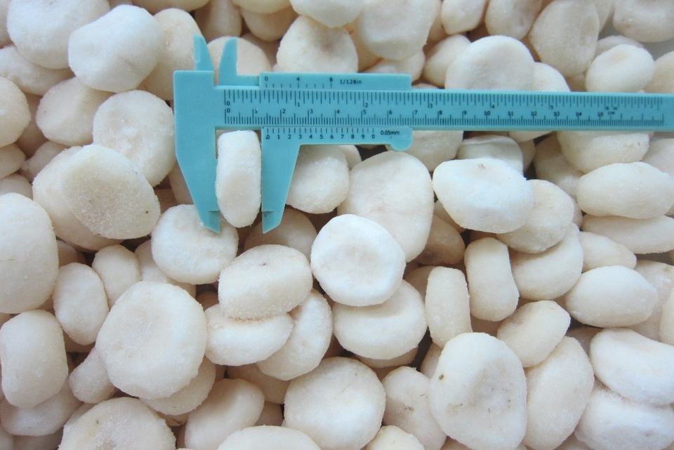Sinocharm Fresh Frozen Water Chestnut Slices Frozen Water Chestnut ...