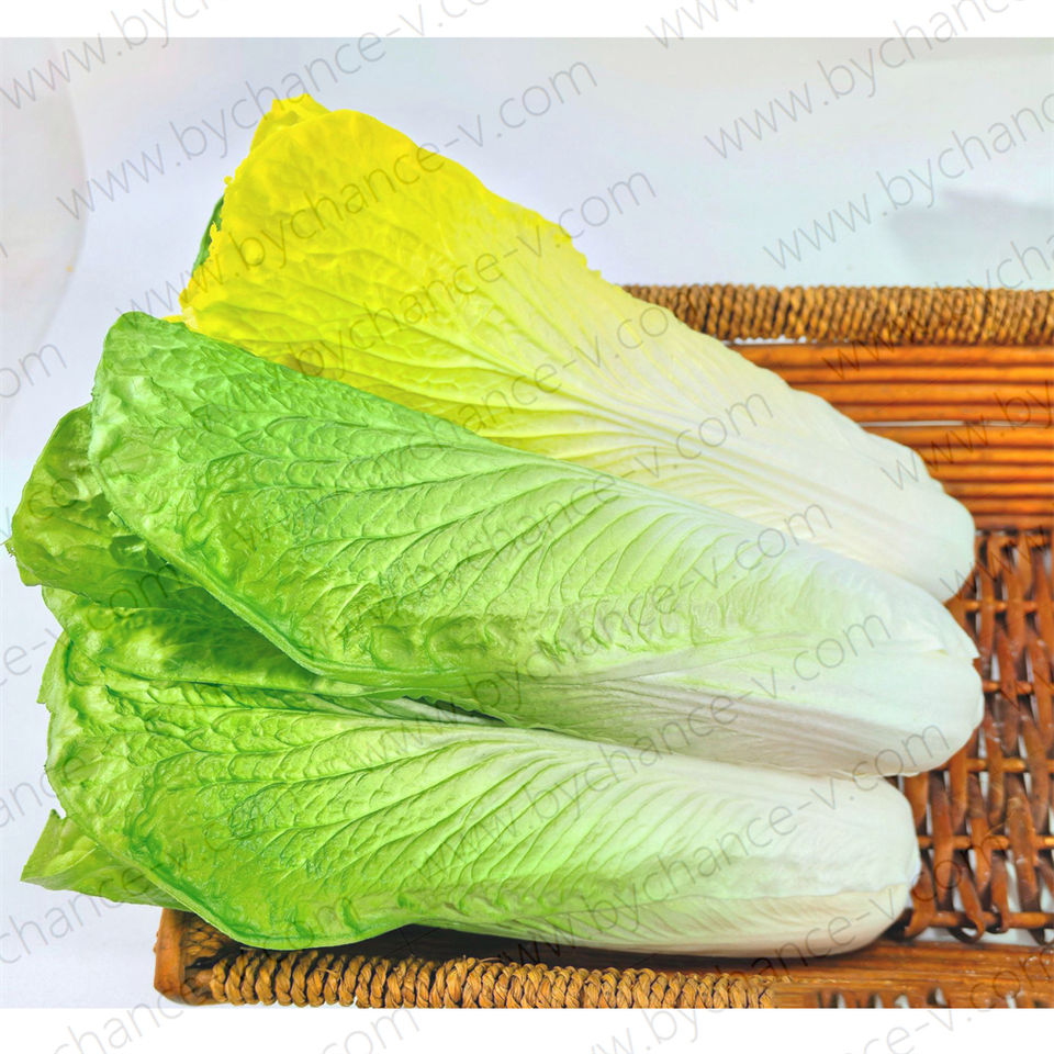 Realistic Faux Napa Cabbage Replica Model Realistic Vegetable Prop for ...