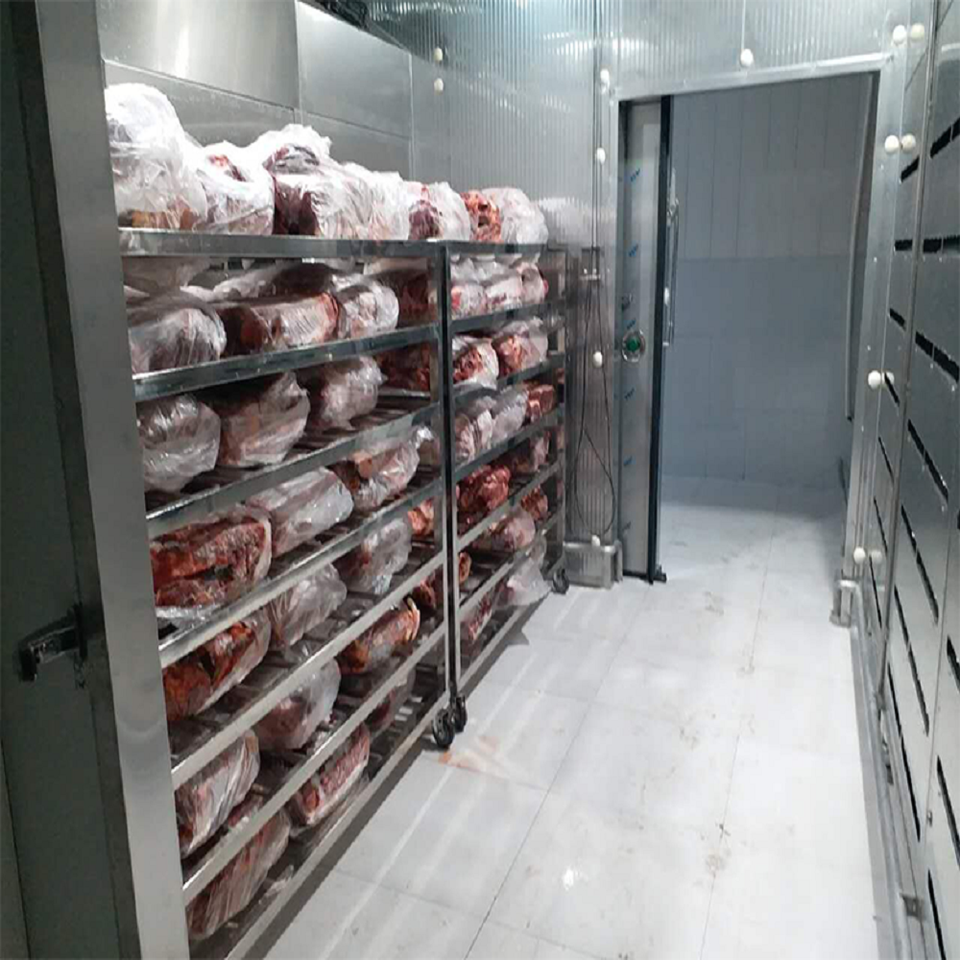 Efficient Frozen Meat Thawing Room - HONYO Defrosting Equipment
