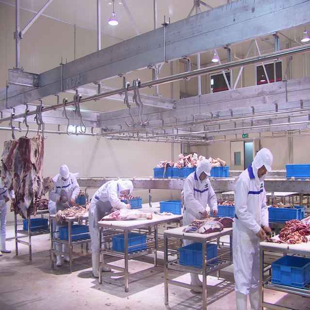 Abattoir Line for Halal Cattle Slaughter Plant| Alibaba.com