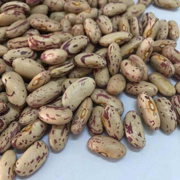 Chinese Native Grown Supermarket Level Light Speckled Kidney Beans ...