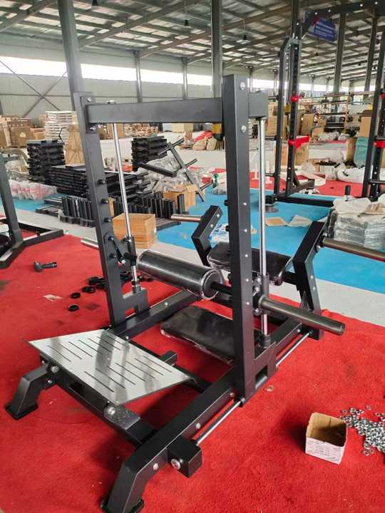 Dual-Function Sitting Posture Pendulum Squat Fitness Equipment Body ...