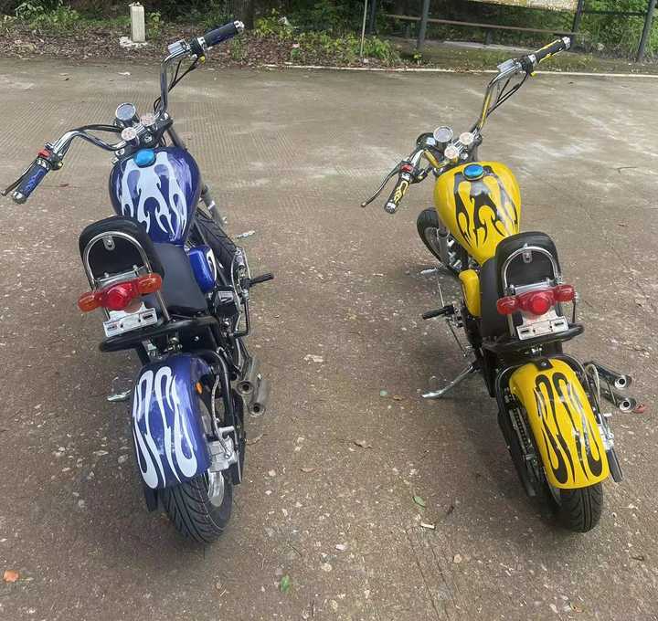 Durable 110CC Retro Chopper Motorcycle for Sale