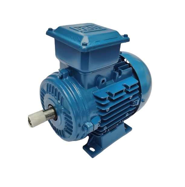 380V 50HZ WEG W22 W21electric Motor Three-Phase Asynchronous Motor IE2 ...