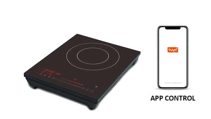 Portable Induction Cooker 220V Black Glass Plate - Easy Cooking ...