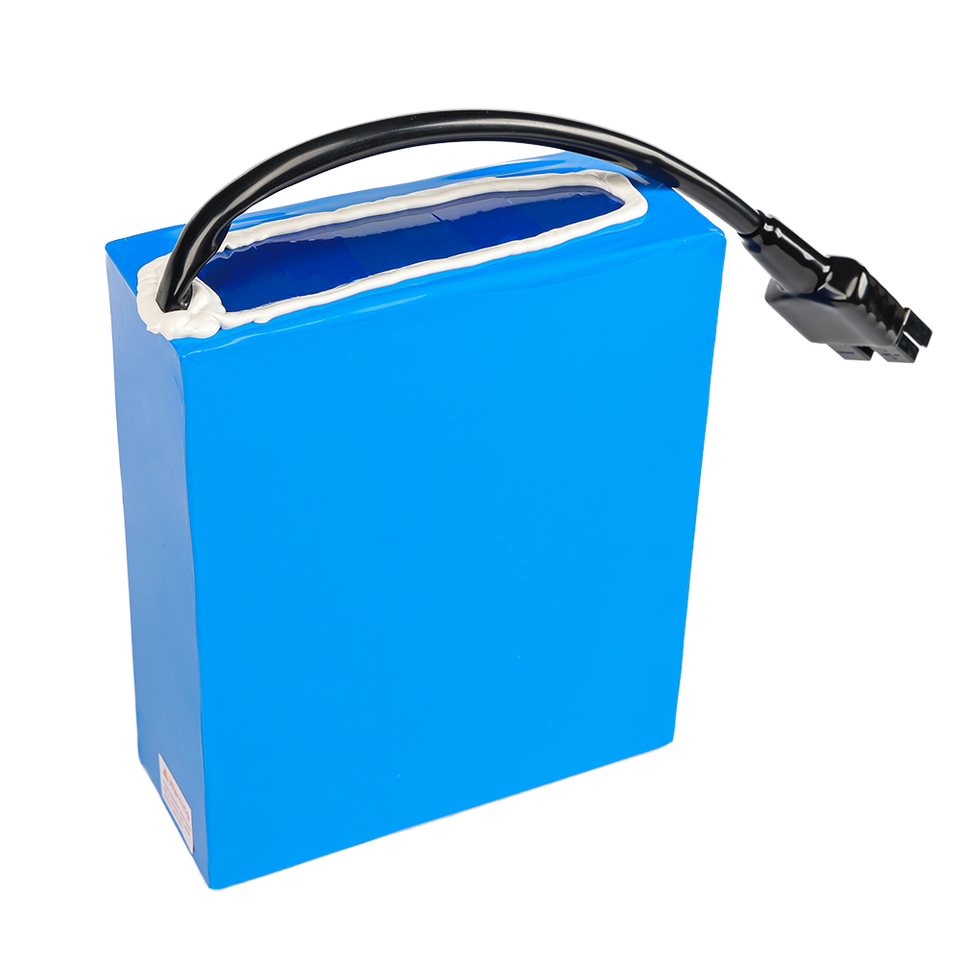 24V 8 Cells LiNiMnCoO2 Lithium Ion Battery Pack 2000 Cycles High Energy ...