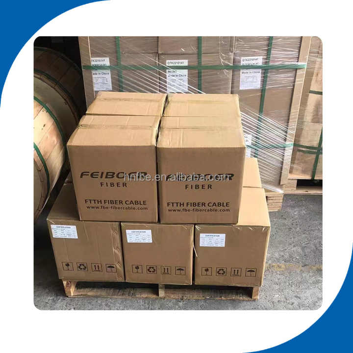 Gigabit Ethernet Gpon Xpon Network FTTH Fiber Optic Cable 2Core Fiber ...