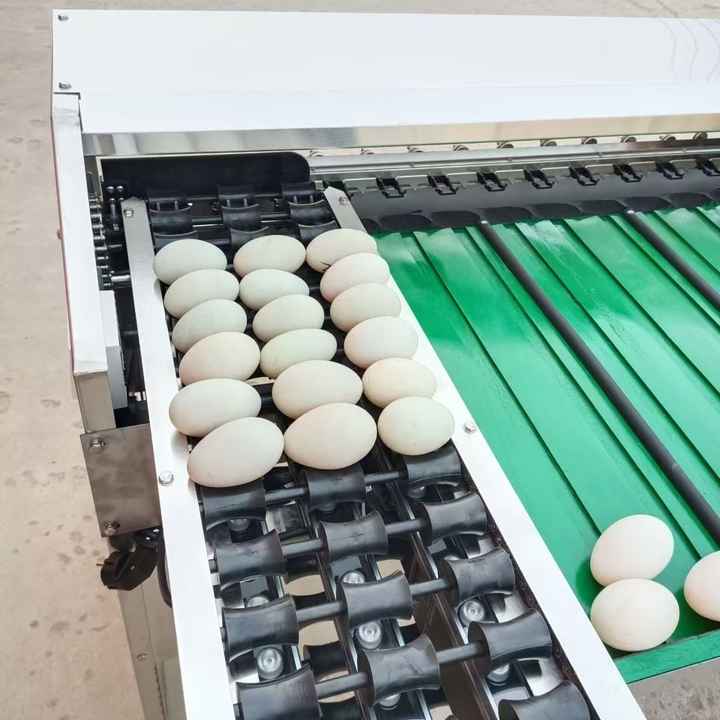 Automatic Industrial Egg Grading Sorter Food Processing Machinery by ...