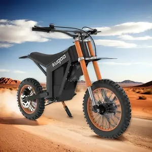 Kugoo Electric Bike - Kugoo Wish 01 1500W 48V Mountain