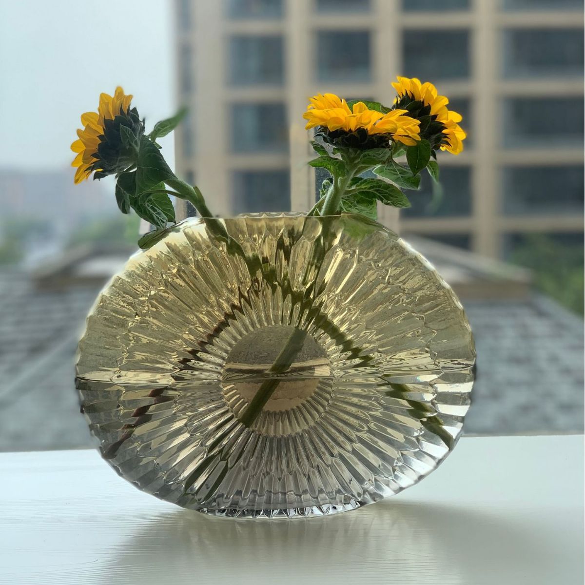 Wholesale Ellipse Glass Vase Nordic-Inspired Design | Alibaba.com
