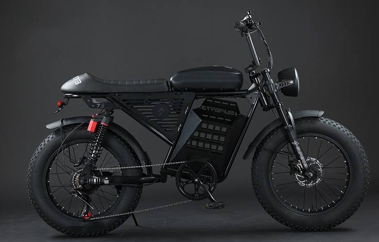 500W 48V Adventure E-Bike for Snow - 20 Inch Fat Tires, Reliable Disc ...