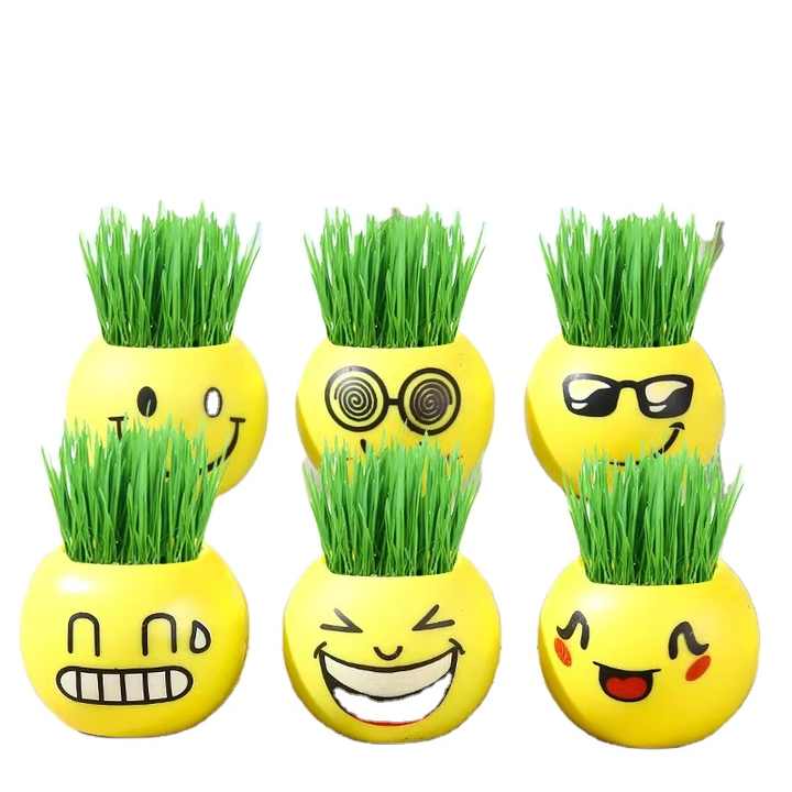 Wholesale Planting Toys Grass Head Doll Mini Potted Plants Observation ...