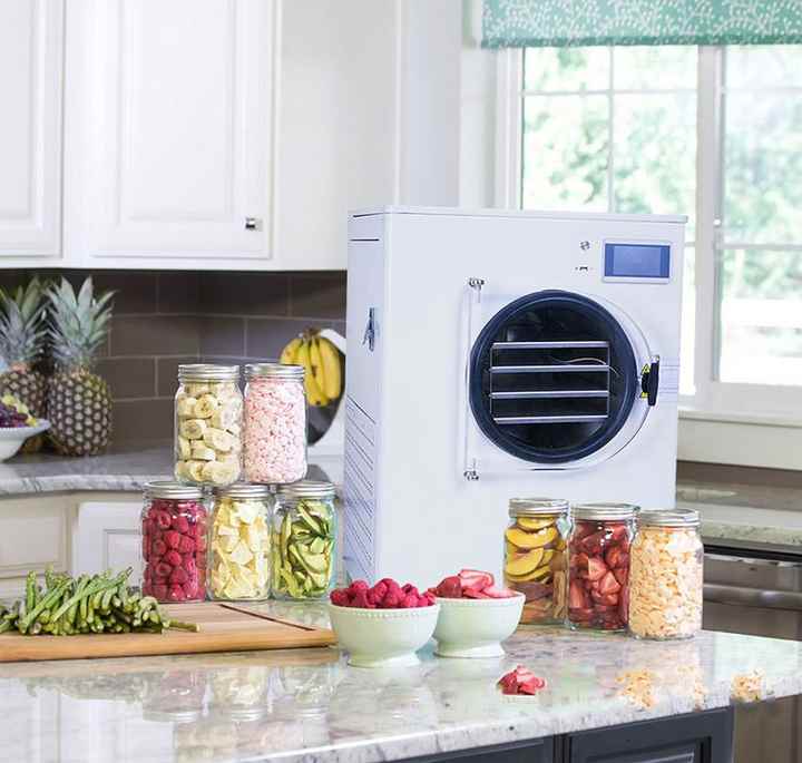 Vacuum Freeze Drying Machine - Efficient Dragon Fruit Preservation