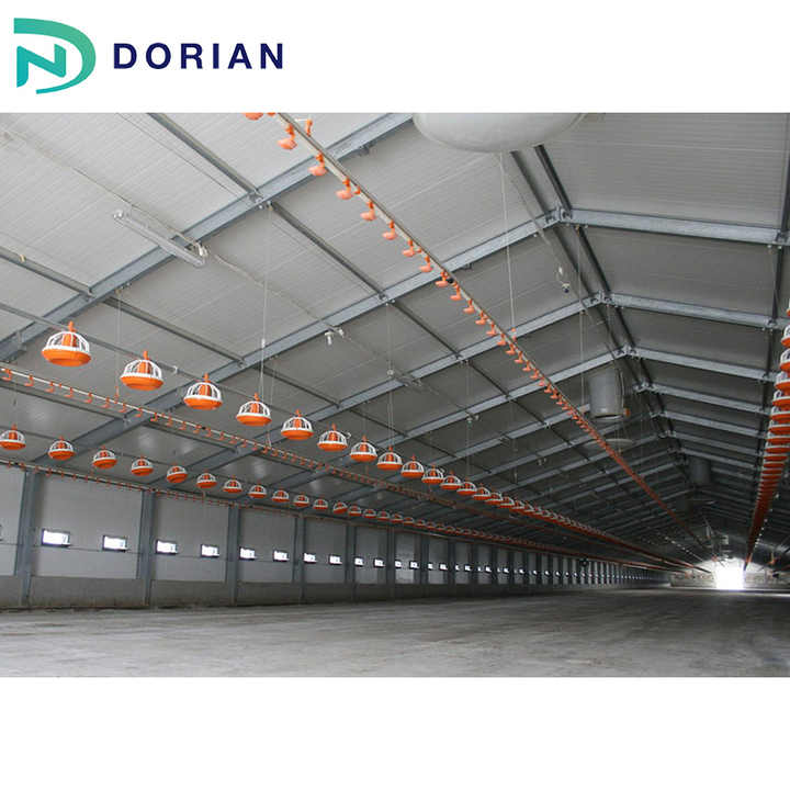 Steel Structure Farm Broiler Poultry Houses Construction Design