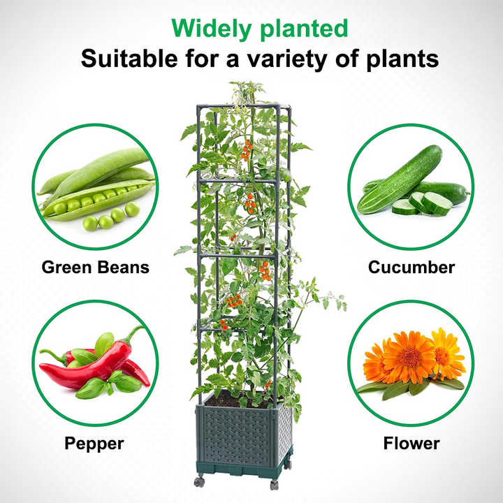 Zolink Garden Outdoor Plant Stakes Support Cages Trellis