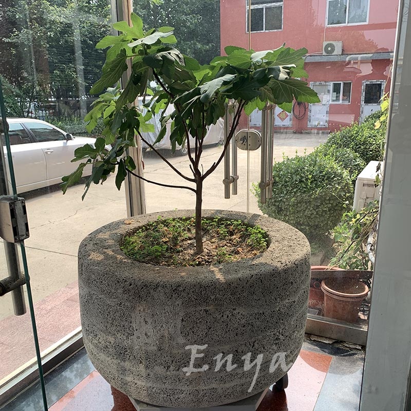 How to Choose the Best Bali Pot: A Complete Buying Guide