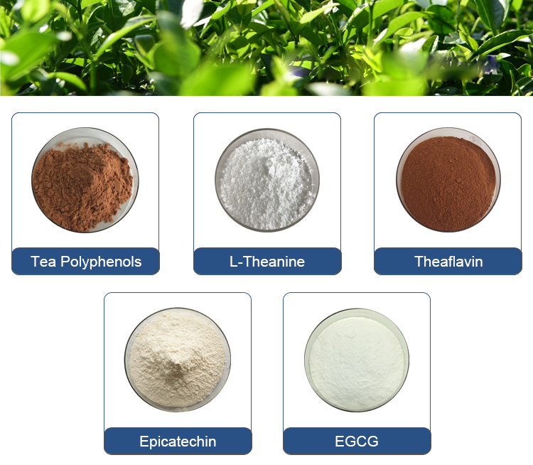 Imaherb Green Tea Extract 50% EGCG Powder Water Soluble