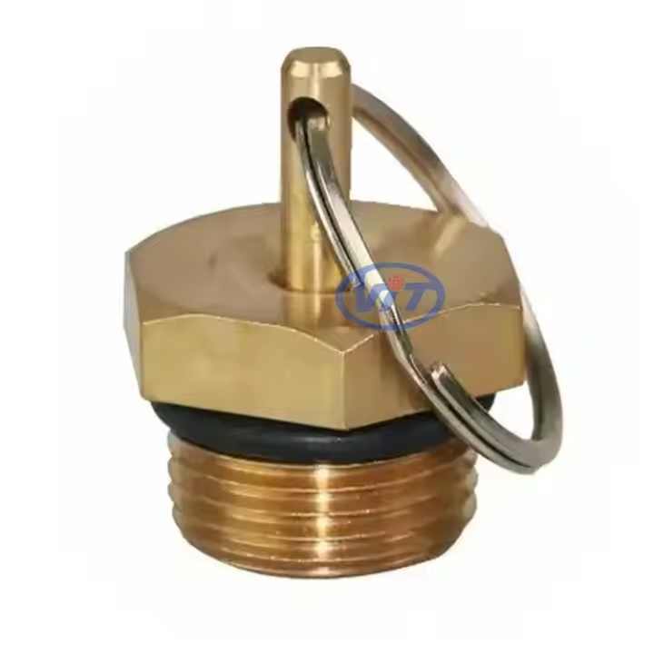 Vit Water Drain Valve Breather Valve 0004320807 for MB Truck Spare Parts