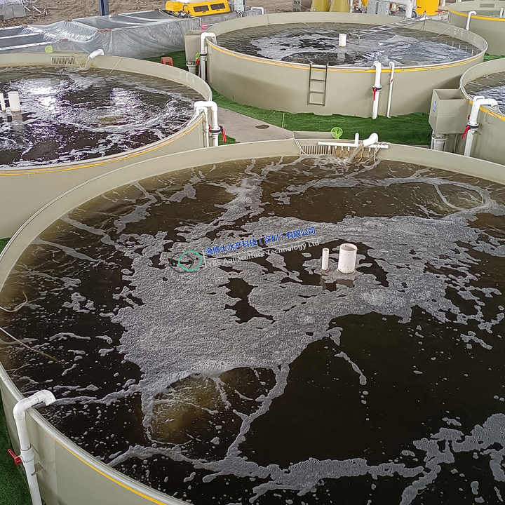 Intensive Recirculating Aquaculture Systems for Tilapia