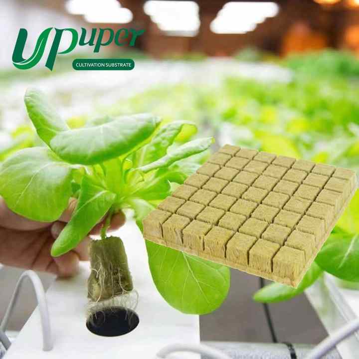 Upuper Indoor Plants Cloning - Rock Wool Starter Cubes