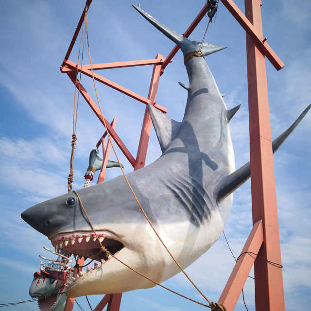 Life Size Shark - Durable and Lifelike Fiberglass Model
