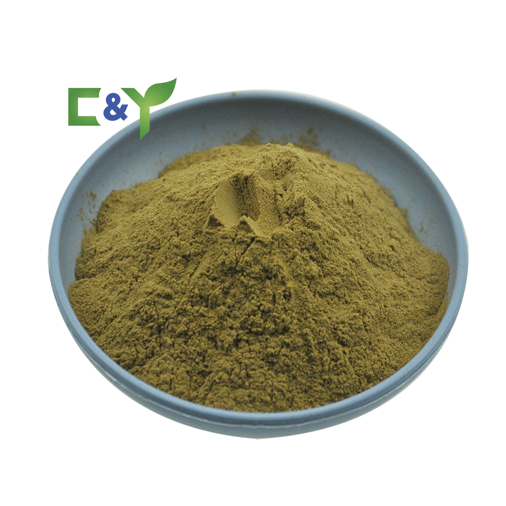 How to Choose the Best Powder Cryptolepis Sanguinolenta: A Complete ...
