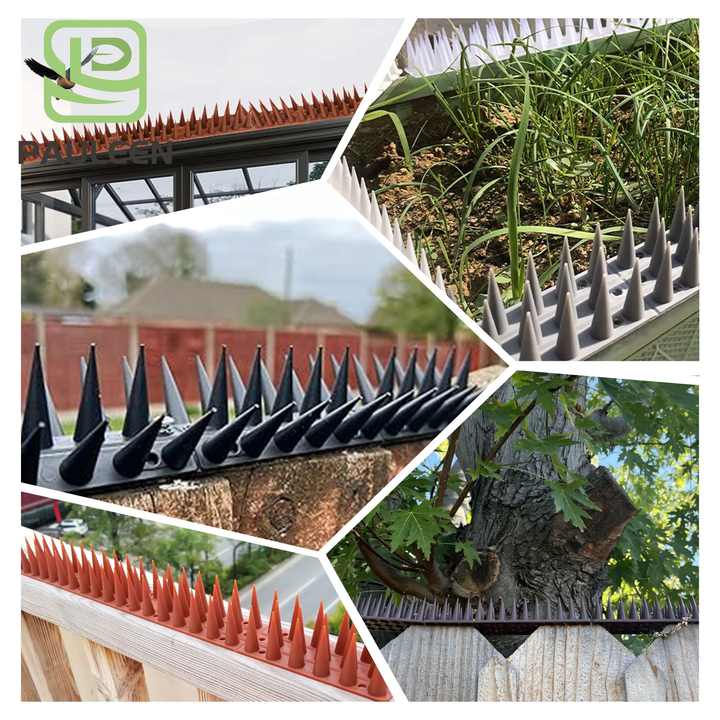 Anti Climb Deterrent Outdoor Bird Prevention Spikes Bird Scare Spikes ...