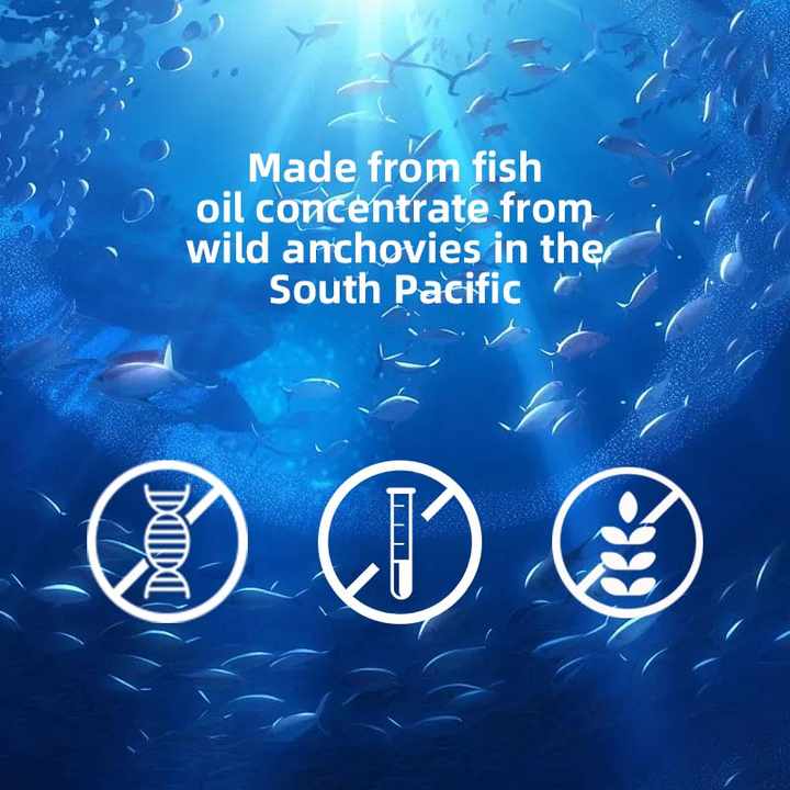 OEM EPA DHA Fish Oil Soft Capsules 120 Count Omega-3 Fatty Acids for Adult Heart Brain Joint ...