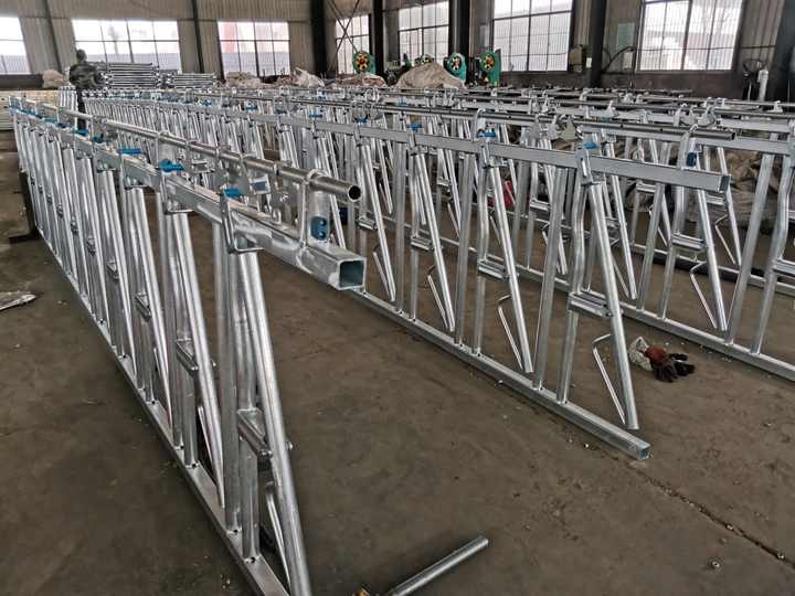 6 Meter Long Cattle Headlocks - Durable & Versatile Solutions