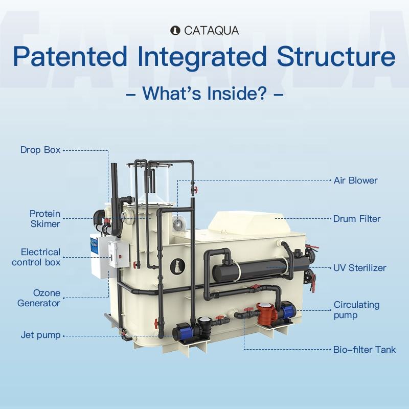 Patented All-in-One RAS Filtration System OEM Drum Filter and Protein ...