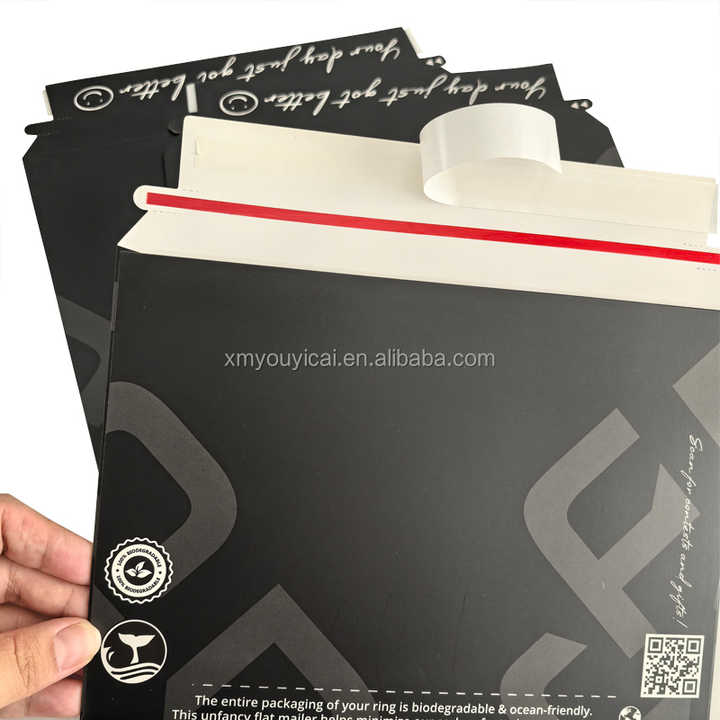 Self Sealed A4 C3 C5 C6 A3 Cardboard Shipping Envelopes