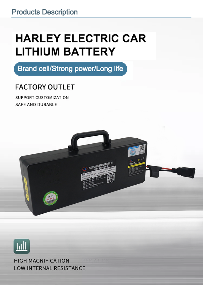 HAOYANG HYCC1 Rechargeable 60V 20Ah LiFePO4 Battery Pack for Electric ...