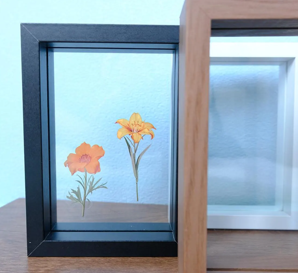 How to Choose the Best Glass Display for Flowers: A Complete Buying Guide
