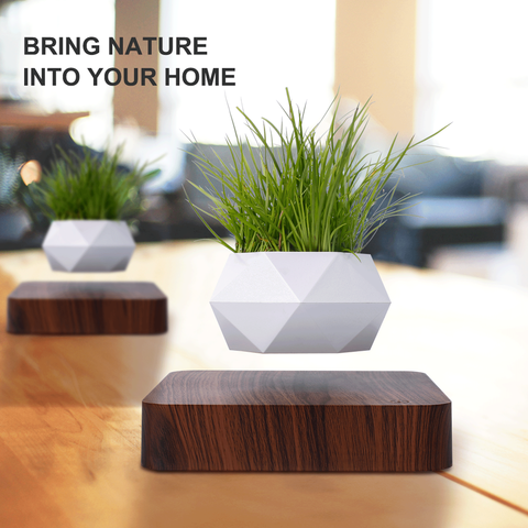 Magnetic Levitating Plant Pot Floating Plant Magnetic Levitation ...