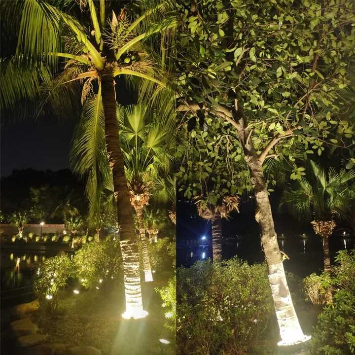 Coconut Palm Tree Hug Light Decorative Square Hoop Pillar Lighting Tree ...