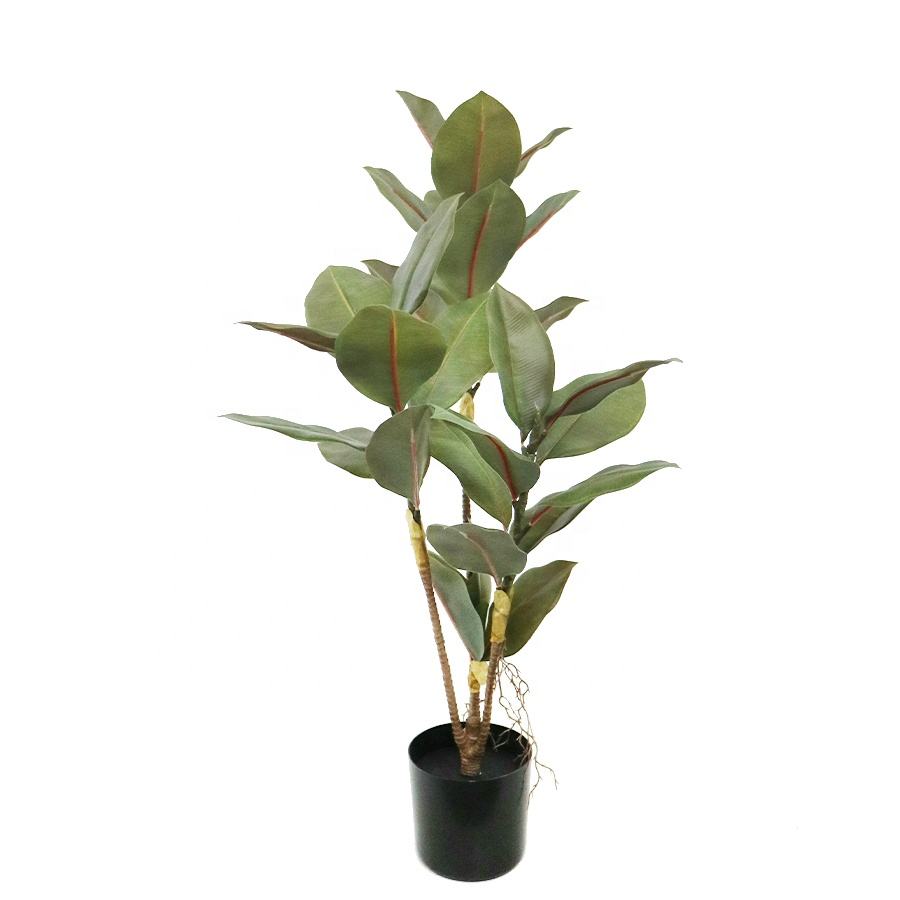 How to Choose the Best Rubber Tree Cover for Your Needs