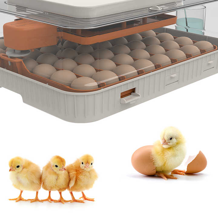 56H Three-in-one Automatic Chicken Egg Incubator Hatching Machine ...