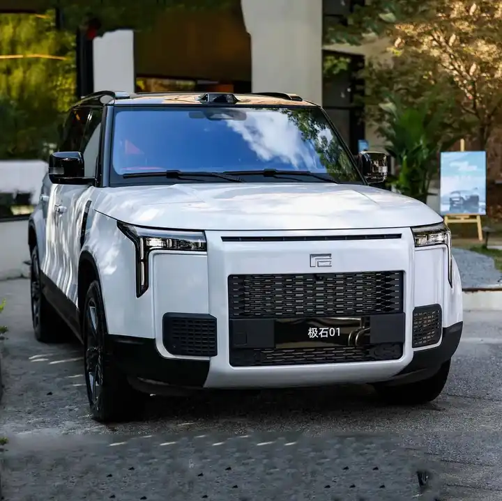 ROX Polar Stone 01 2024 2025 High Quality Automobile Chinese Electric ...