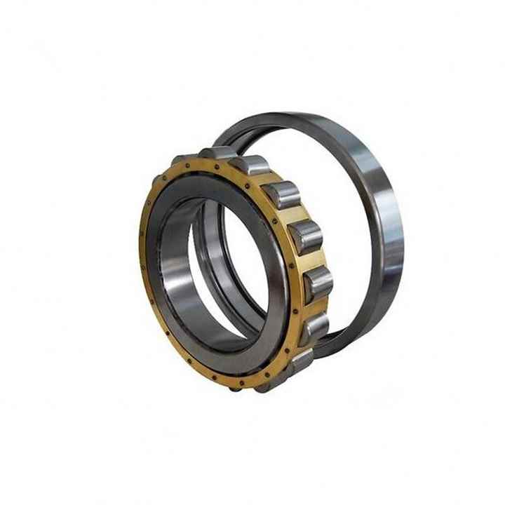 Bantalan rol silinder N-303 N 303 E N303 17x47x14mm| Alibaba.com