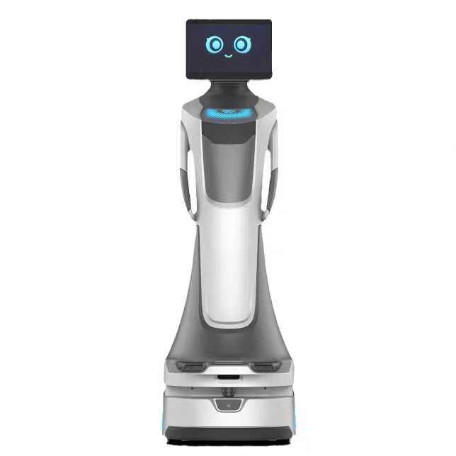 Humanoid Receptionist Greeting Robot Intelligently| Alibaba.com