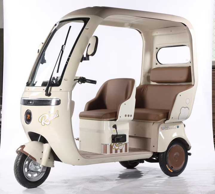 Wholesale Price Ebike Electric Tricycle Electric Pedicab for Adults ...