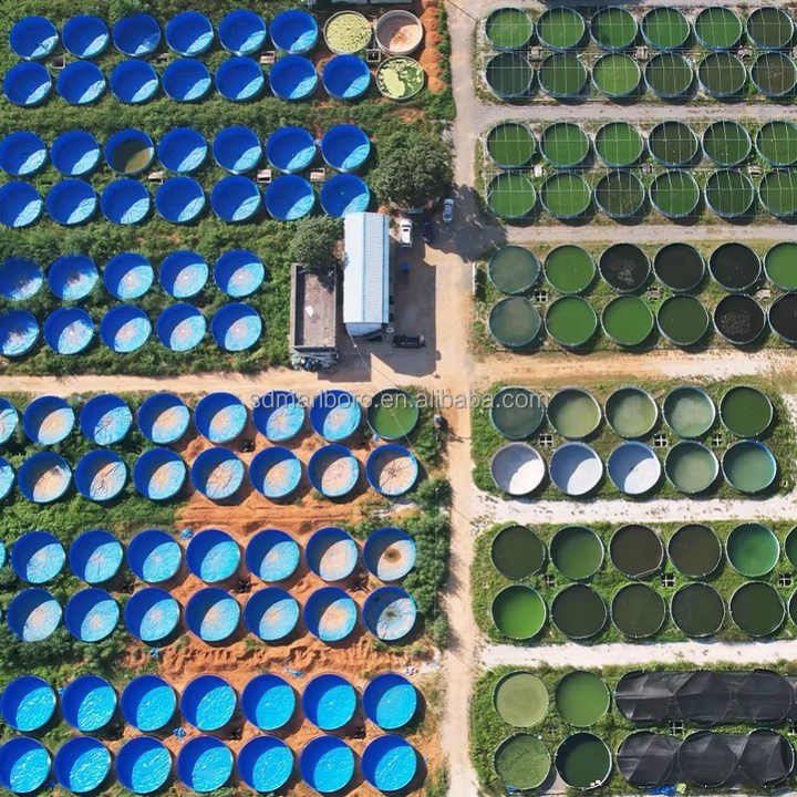 SDM 2025 Aquaculture System Fish Farming Ras Fish Farm| Alibaba.com