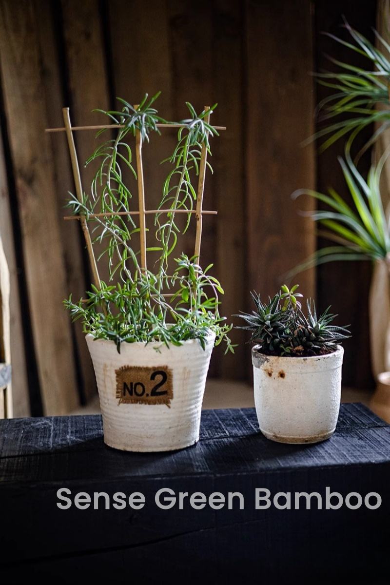 How to Choose the Best Bamboo Trellis for Your Garden