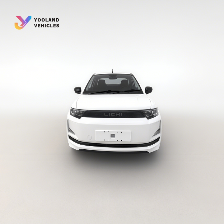 YOOLAND 2025 New Design Stylish Urban Compact 5-Door 4-Seater Electric ...