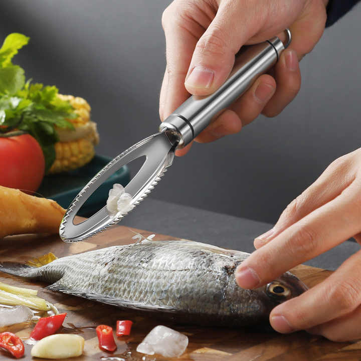 Fish Scale Planer Fish Skin Brush Manual Peeling Knife for Killing Fish ...