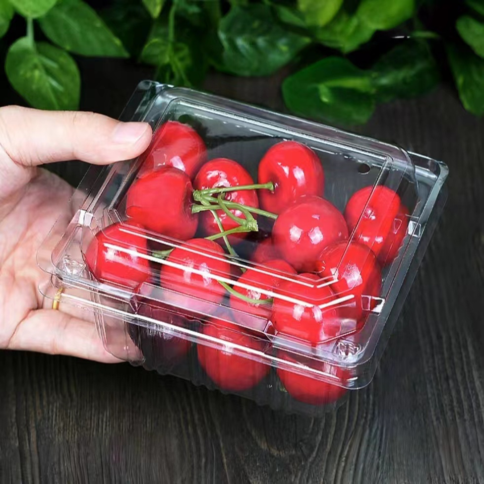 Wholesale Eco-friendly clear Plastic Food Storage Box Plastic Packaging ...