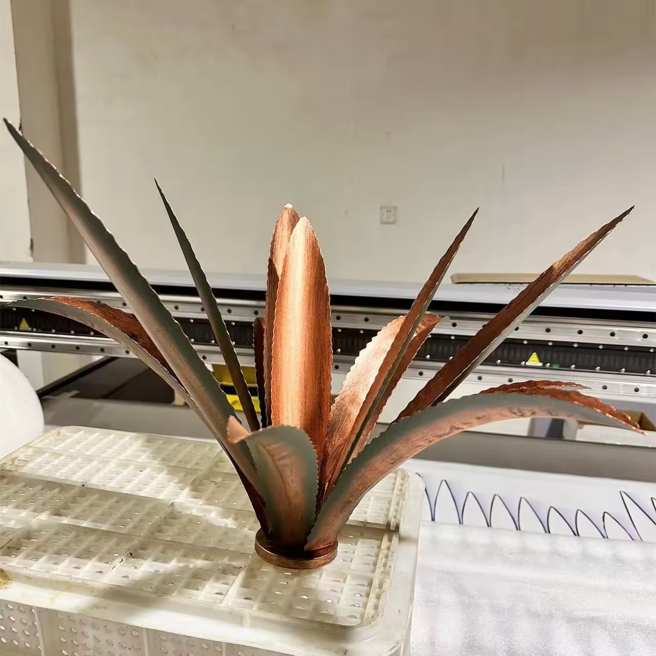 How to Choose the Best Steel Flowers Agave for Outdoor Decor