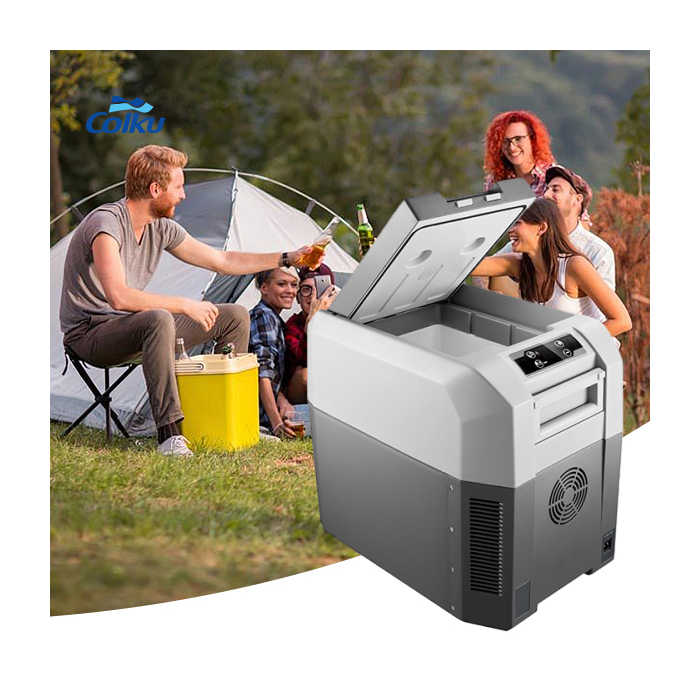 High Quality 12V Camper Fridge Beach Refrigerators 33L Compressor Fish ...